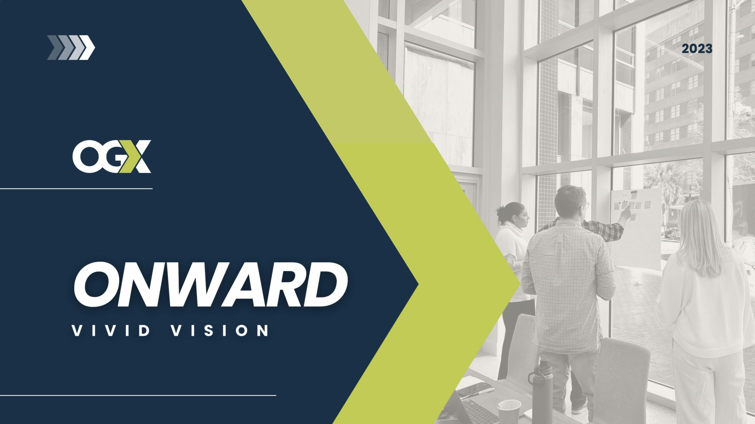 VividVision - OGx Consulting