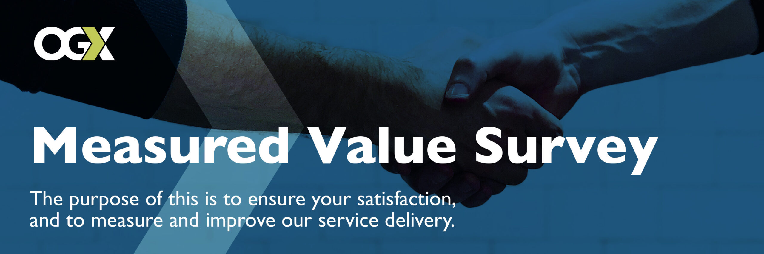 Client Survey - OGx Consulting
